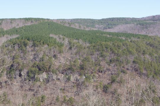 A Mountaintop Oasis | River Gorge Ranch