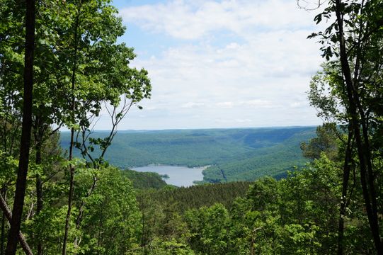 Secluded River Views | River Gorge Ranch