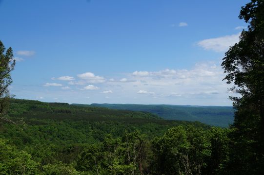 Wooded Mountain Views | River Gorge Ranch