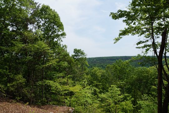 ideal Mountain Retreat | River Gorge Ranch