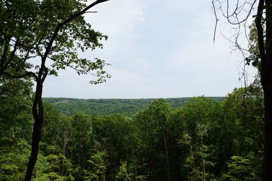 Views in the Distance | River Gorge Ranch