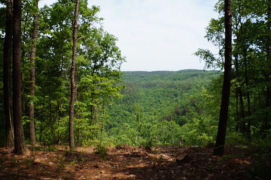 Quite Serene Views | River Gorge Ranch