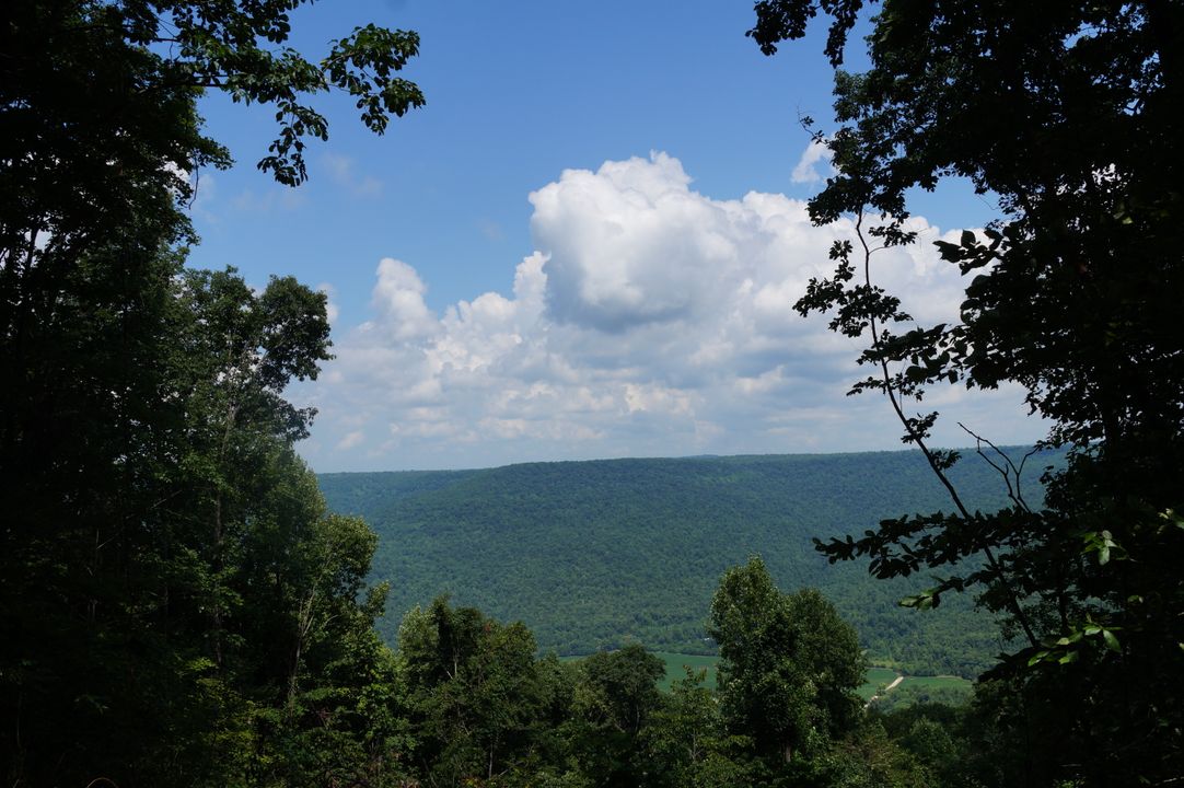 Deep Forest Views | Jasper Highlands