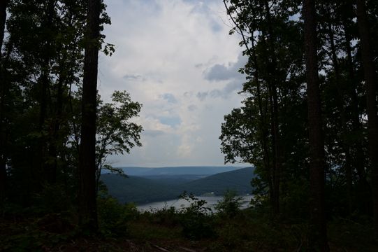 Privacy and Mountain Views | River Gorge Ranch