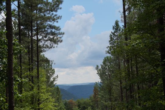 Mountain Views With Acreage | River Gorge Ranch