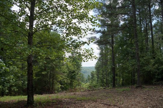 Mountain Acreage & Privacy | River Gorge Ranch
