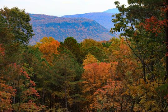 River Gorge Views | River Gorge Ranch