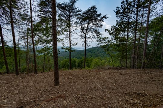 Valley Views | River Gorge Ranch