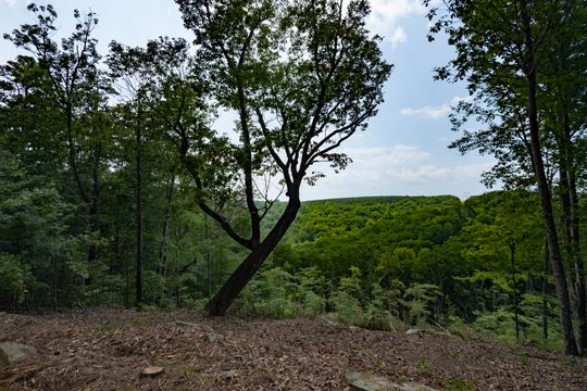 Valley Views | River Gorge Ranch