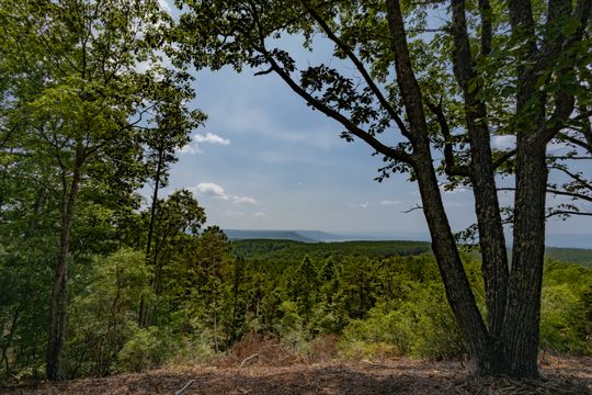 RGR2009 | River Gorge Ranch