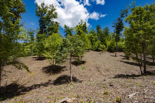 Lot RGR1084 | River Gorge Ranch