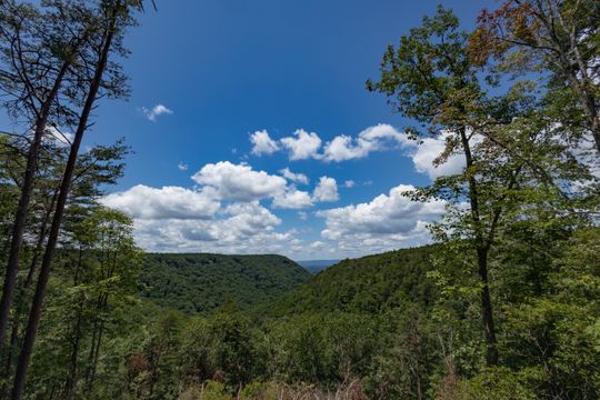 RGR Lot1078 | River Gorge Ranch