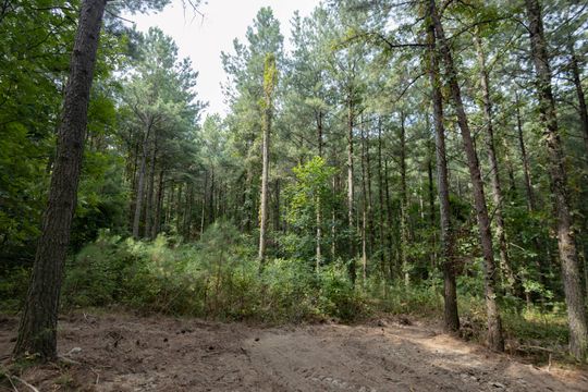 Lot RGR2021 | River Gorge Ranch