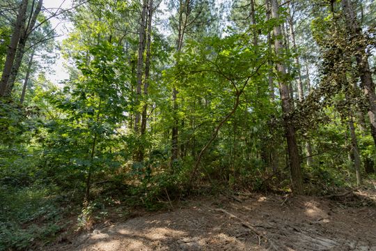 Lot RGR2034 | River Gorge Ranch